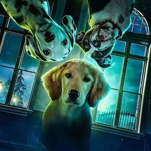 Phantom Pups - Rotten Tomatoes