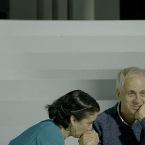 The Eternal Memory - Rotten Tomatoes