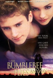 The Bumblebee Flies Anyway | Rotten Tomatoes