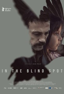 In the Blind Spot | Rotten Tomatoes