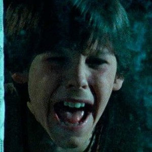 The Cellar - Rotten Tomatoes