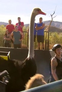 Fear Factor: Season 3, Episode 9 | Rotten Tomatoes