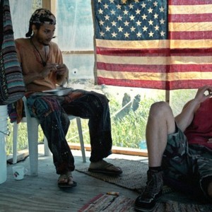 Moss - Rotten Tomatoes