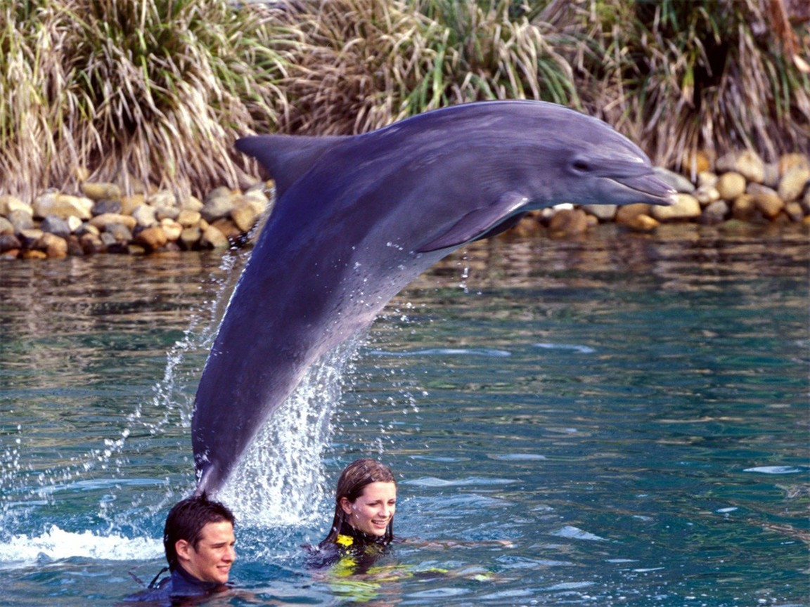 Ring Of Endless Light
