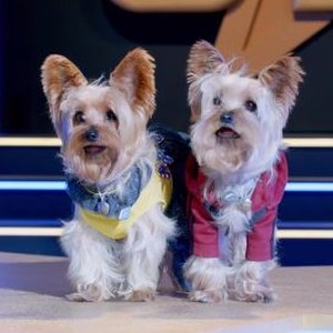 Pup Star: Better 2Gether - Rotten Tomatoes