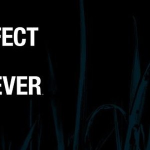 Perfect Hair Forever - Rotten Tomatoes