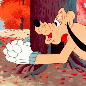 Pluto: Food for Feudin' - Rotten Tomatoes