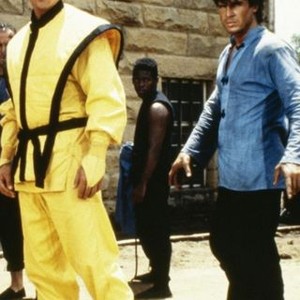 American Ninja V (1993) - Rotten Tomatoes