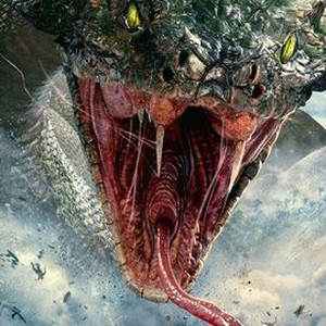 King of Snake - Rotten Tomatoes