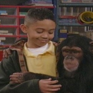 Smart Guy: Season 2, Episode 17 - Rotten Tomatoes