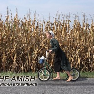 The Amish: American Experience - Rotten Tomatoes