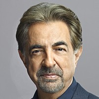 Joe Mantegna - Rotten Tomatoes
