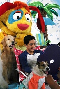 Mutt & Stuff: Season 1, Episode 29 | Rotten Tomatoes