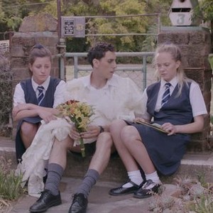 Canary - Rotten Tomatoes