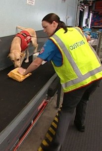 Border Security: Season 2, Episode 3 | Rotten Tomatoes