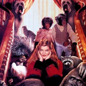 Buddy - Rotten Tomatoes