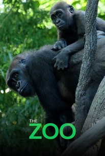 The Zoo: Season 1, Episode 4 | Rotten Tomatoes
