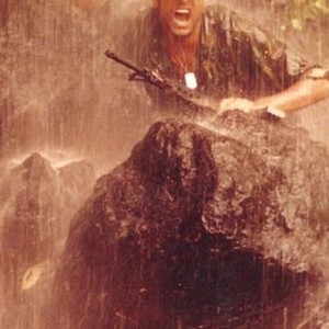 Warbus - Rotten Tomatoes