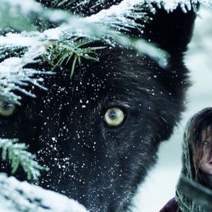 Surviving With Wolves - Rotten Tomatoes
