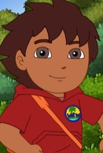 Go, Diego, Go!: Season 4, Episode 8 | Rotten Tomatoes