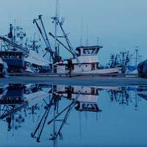 ECCO - Rotten Tomatoes