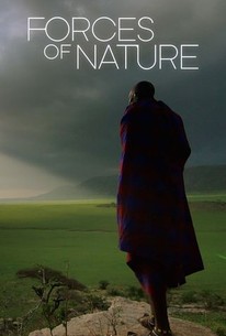 Forces of Nature (2016) | Rotten Tomatoes