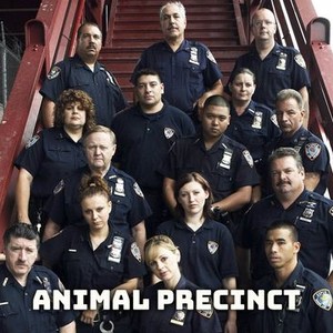 Animal Precinct - Rotten Tomatoes