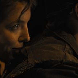 The Bikeriders - Rotten Tomatoes