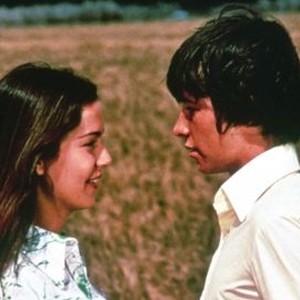 Friends - Rotten Tomatoes