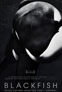 Blackfish (2013) | Rotten Tomatoes