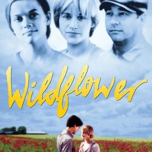Wildflower - Rotten Tomatoes
