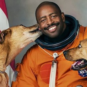 Dogs - Rotten Tomatoes