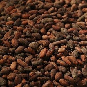 The Dark Side of Chocolate - Rotten Tomatoes