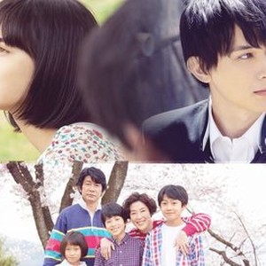 Sakura - Rotten Tomatoes