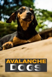 Avalanche Dogs: Season 1, Episode 1 | Rotten Tomatoes