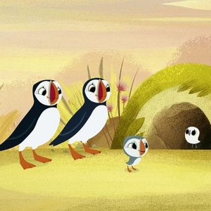 Puffin Rock - Rotten Tomatoes