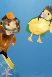 The Wonder Pets!: Season 1, Episode 1 | Rotten Tomatoes