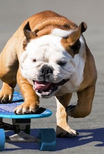 Who Let the Dogs Out: Season 2, Episode 21 - Rotten Tomatoes