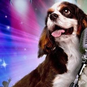 Pop Star Puppy - Rotten Tomatoes