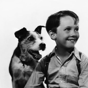 David Holt - Rotten Tomatoes