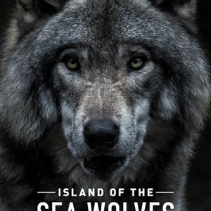 The Grey Movie Wolves