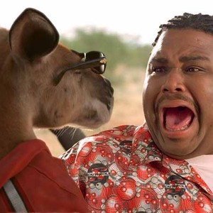 Kangaroo Jack - Rotten Tomatoes
