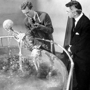 Graham Curnow - Rotten Tomatoes