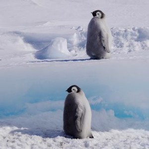 Hostile Planet - Rotten Tomatoes