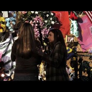 Torn - Rotten Tomatoes