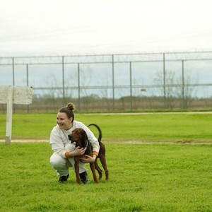 That Animal Rescue Show: Season 1, Episode 4 - Rotten Tomatoes