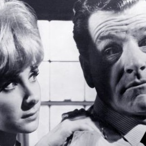 The Comedy Man - Rotten Tomatoes