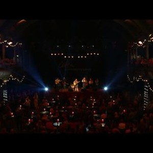 Wild Rose - Rotten Tomatoes