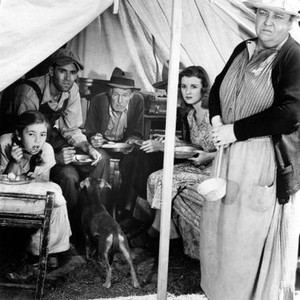 Jane Darwell - Rotten Tomatoes