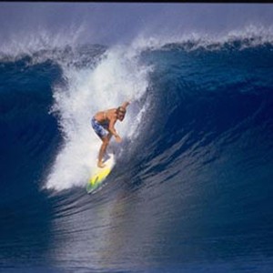 Step Into Liquid - Rotten Tomatoes